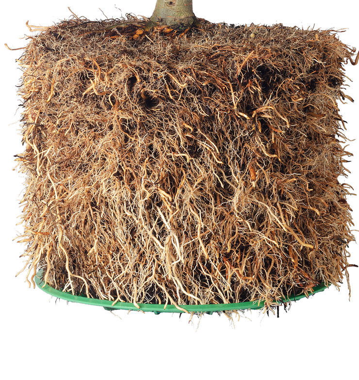 Air-Pot® – Always Innovating