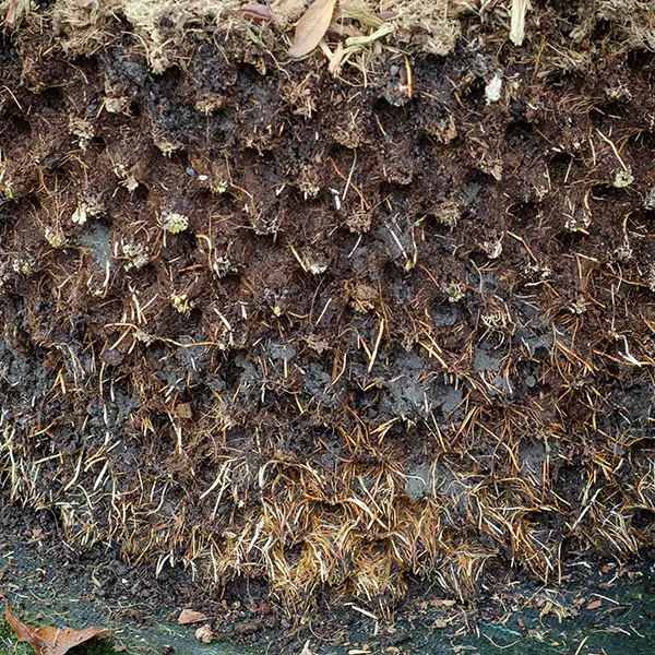 新登場: Air-Pot® 7 – Air-Pot®